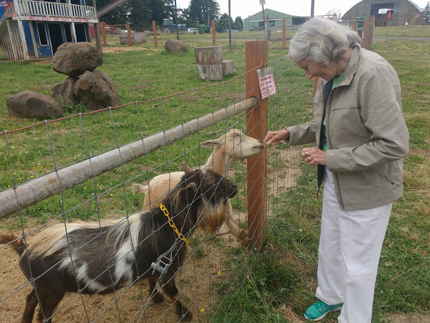 Create A Thrive Plan