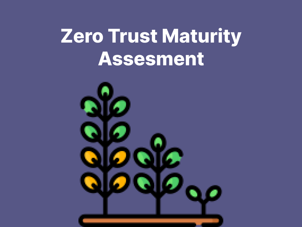 How to Do a Zero Trust Maturity Assessment