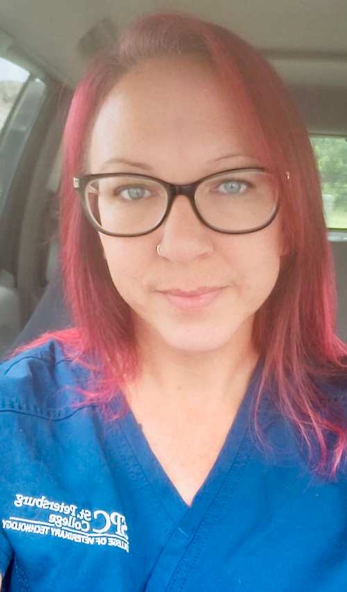 Case Study - Jaime James