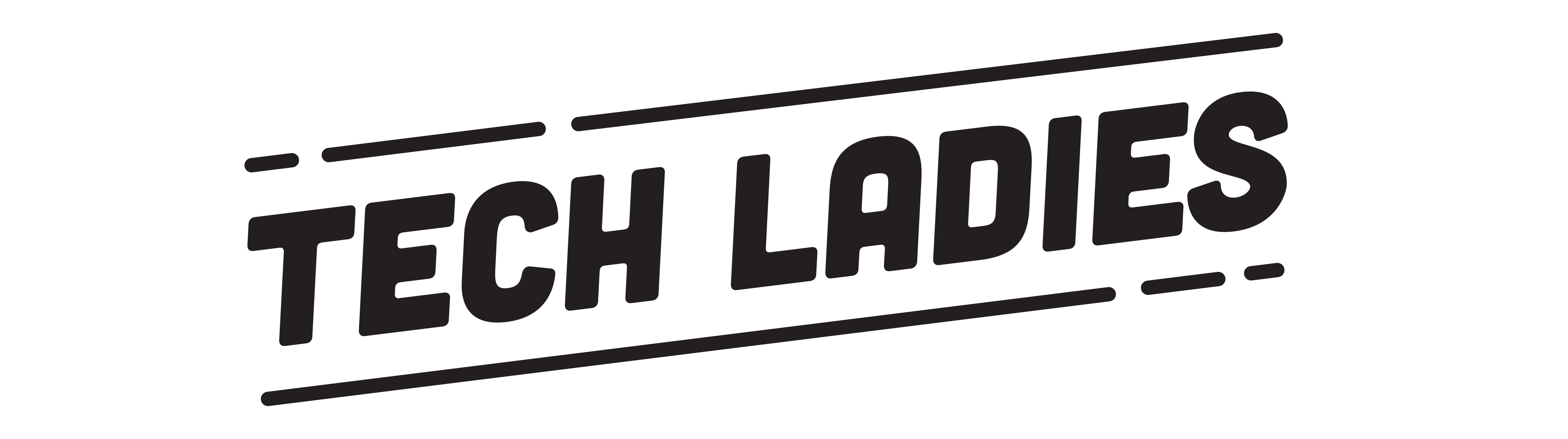 Tech Ladies Hiring Portal