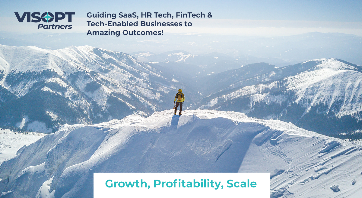 Interim CEO, Fractional CRO, CSO, CPO, COO, M&A Advisory, Board ...