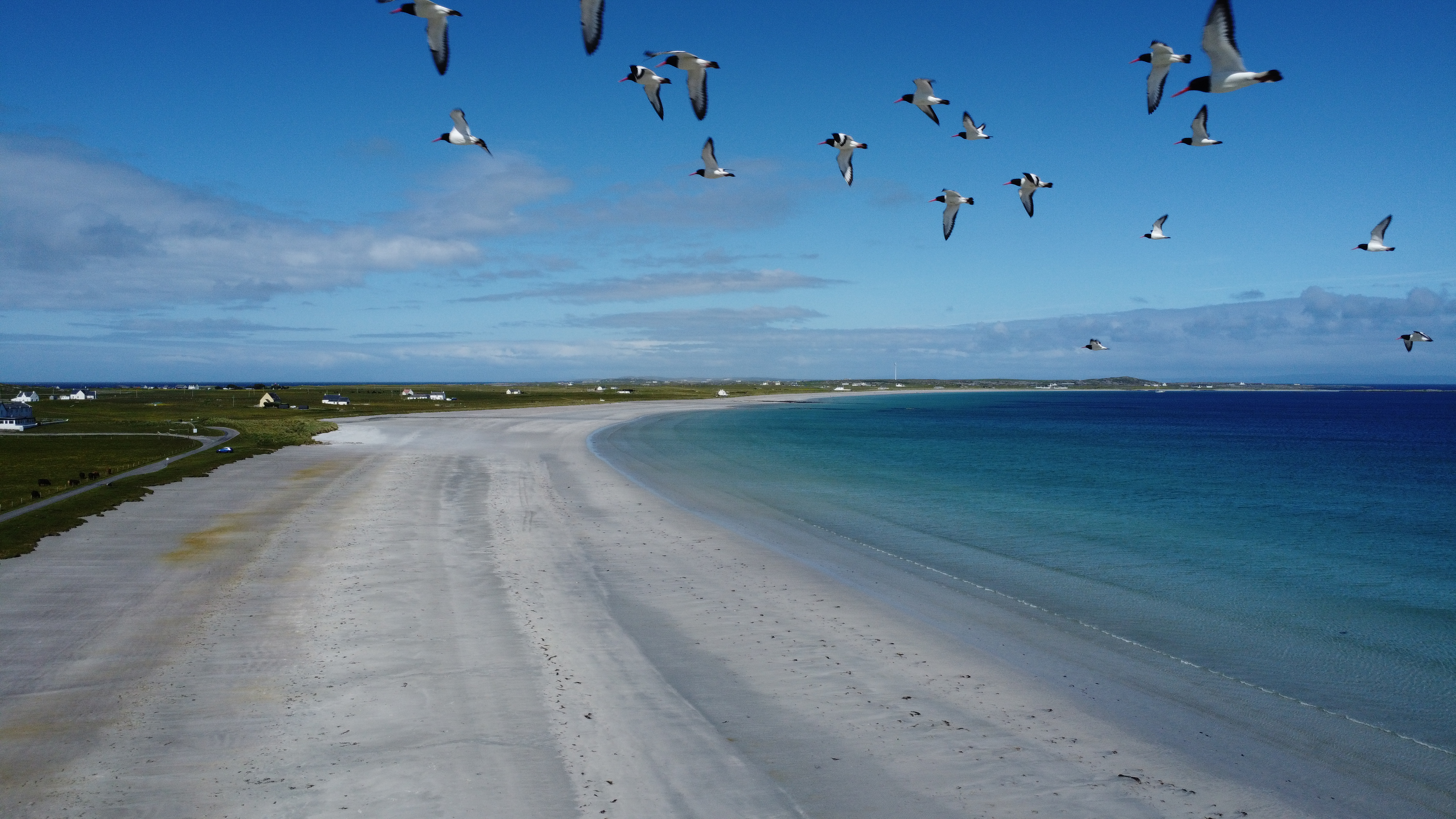 Discover Tiree: Your Island Guide