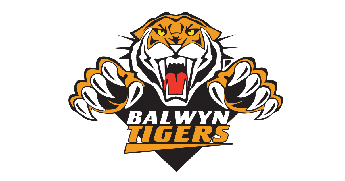 2008 Senior Premiership | Balwyn Tigers FC