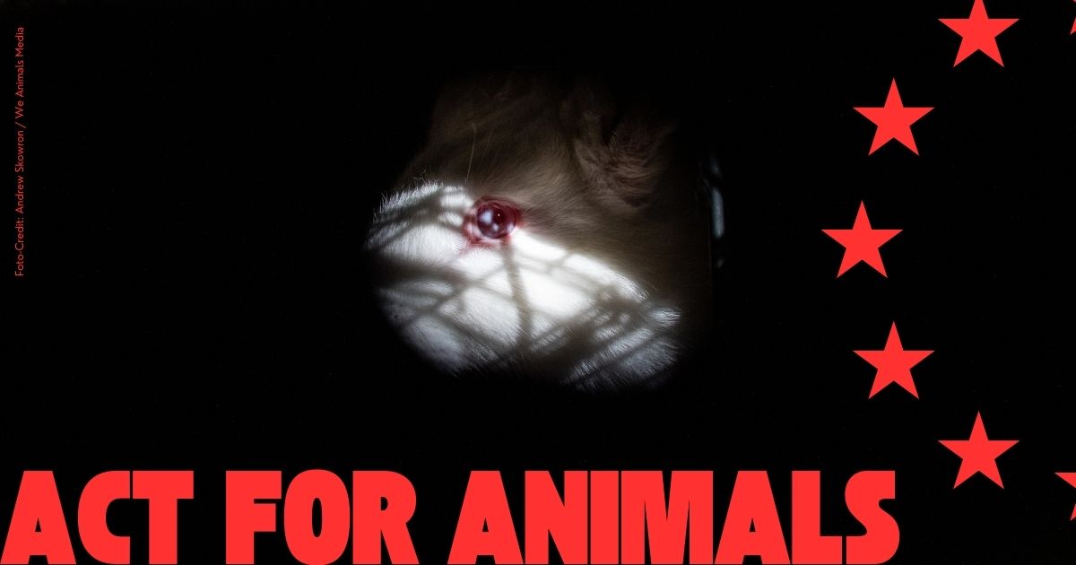 Act for Animals in the EU now!
