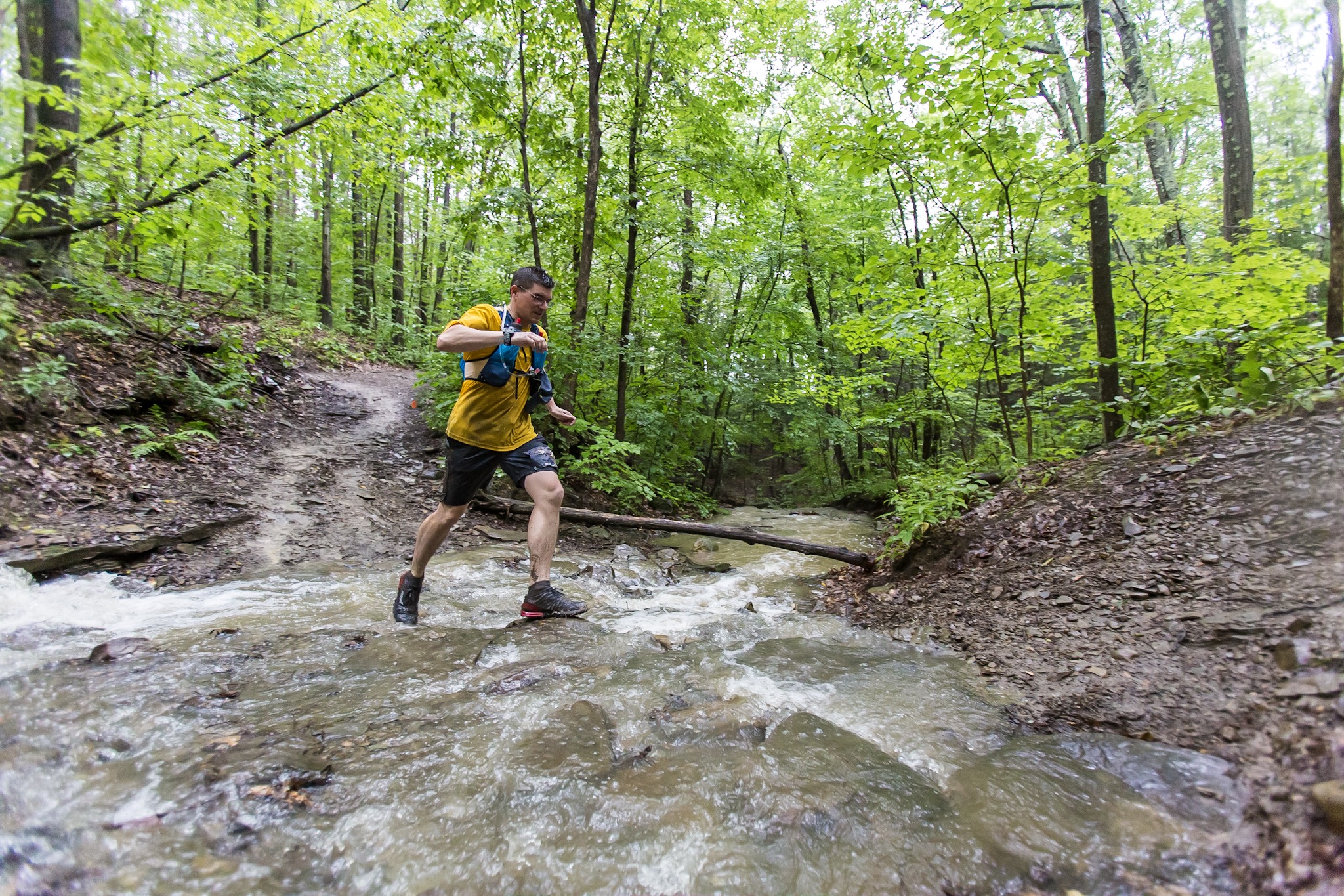 Home [www.twistedbranchtrail.com]