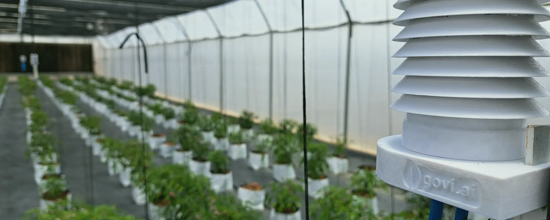 govi.ai - harvesting the future