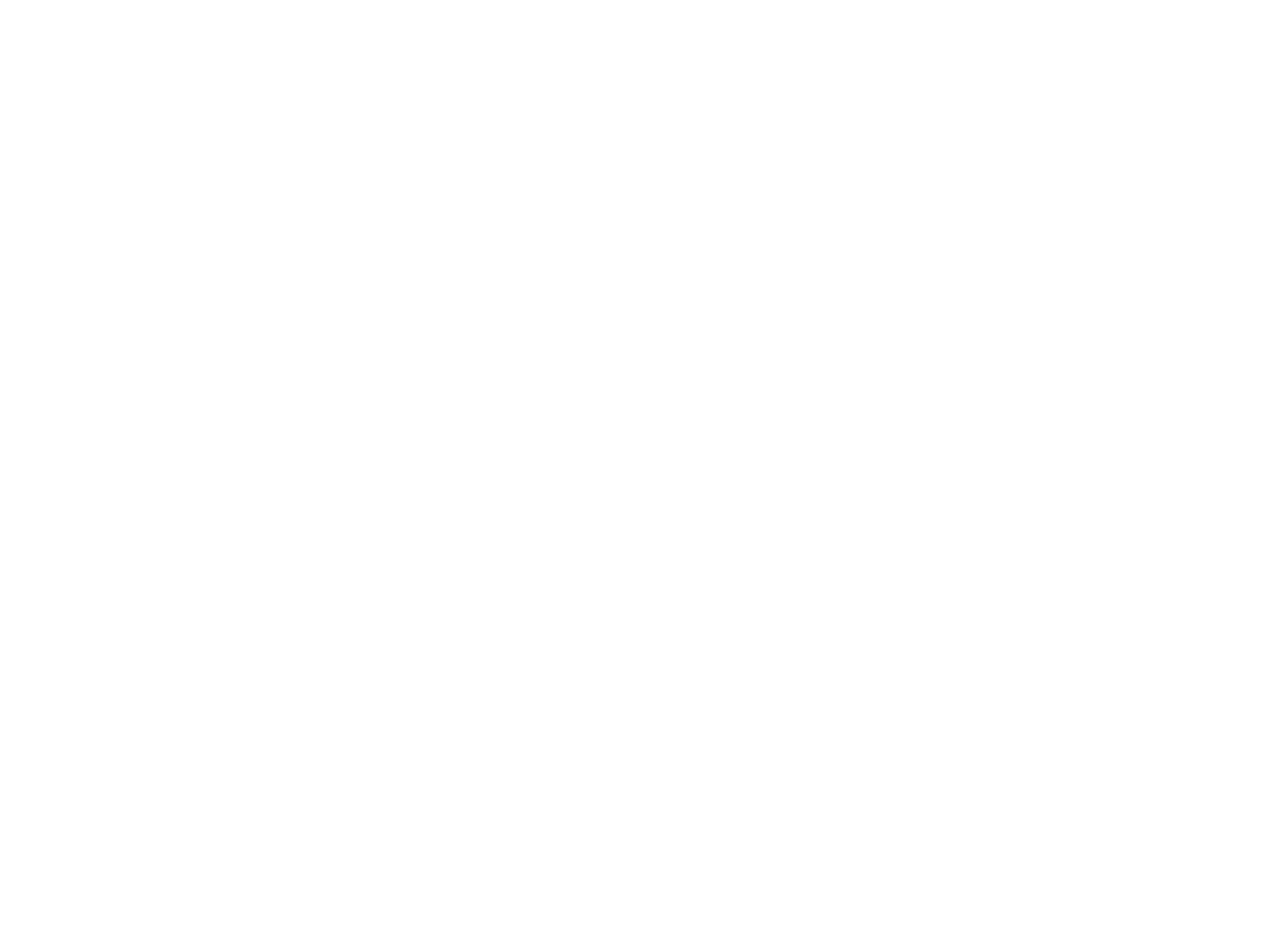 Snowball Effect | Mission, vision & values