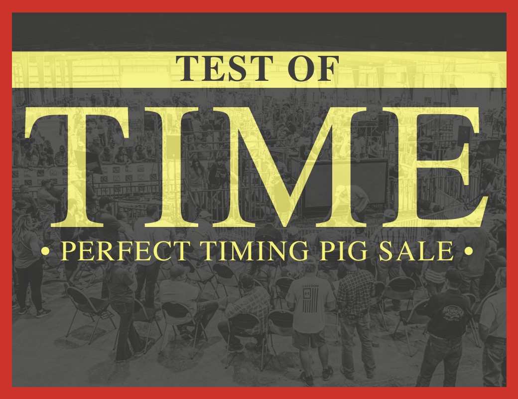 Home [www.nextsalemanager.com]