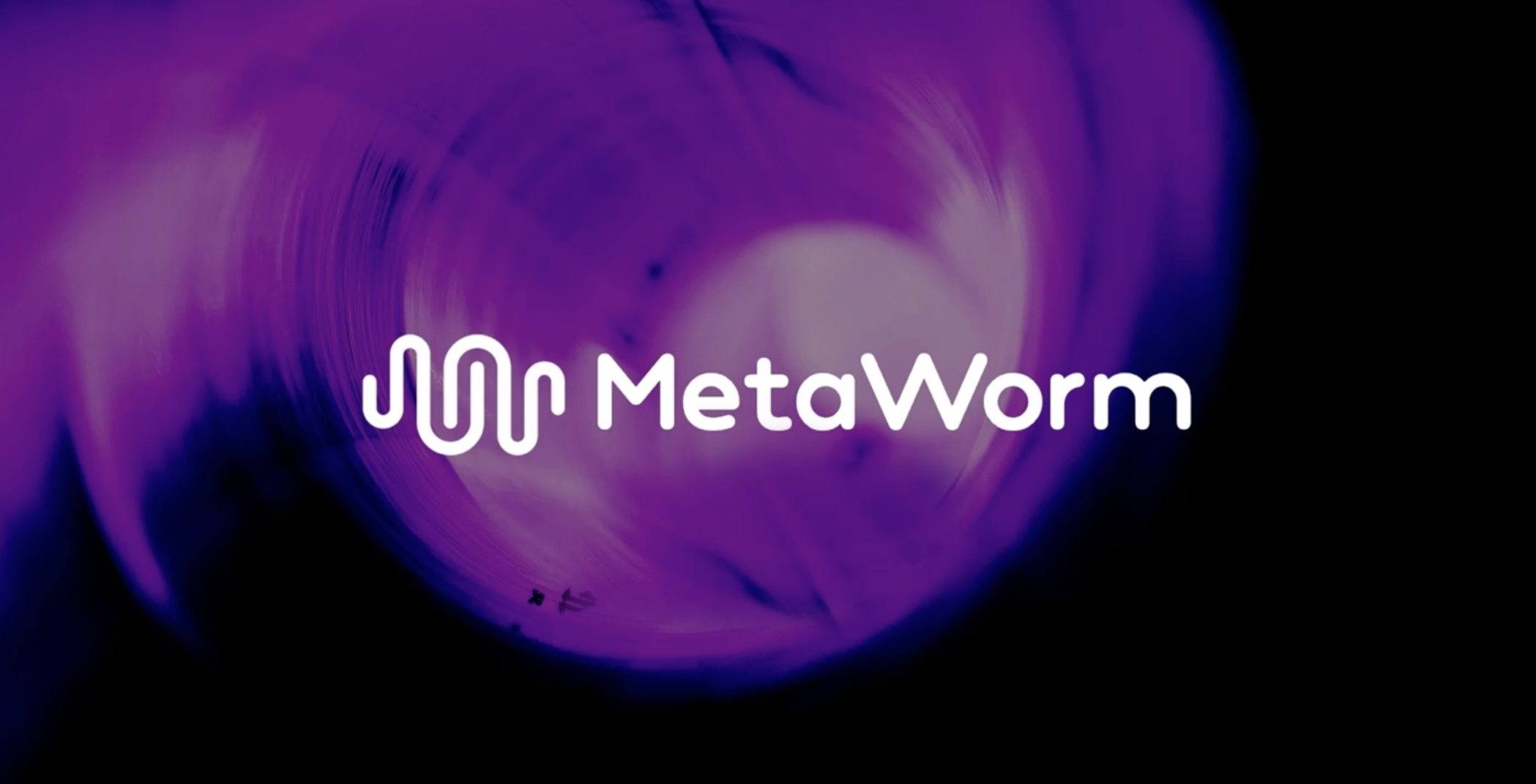 Metaworm