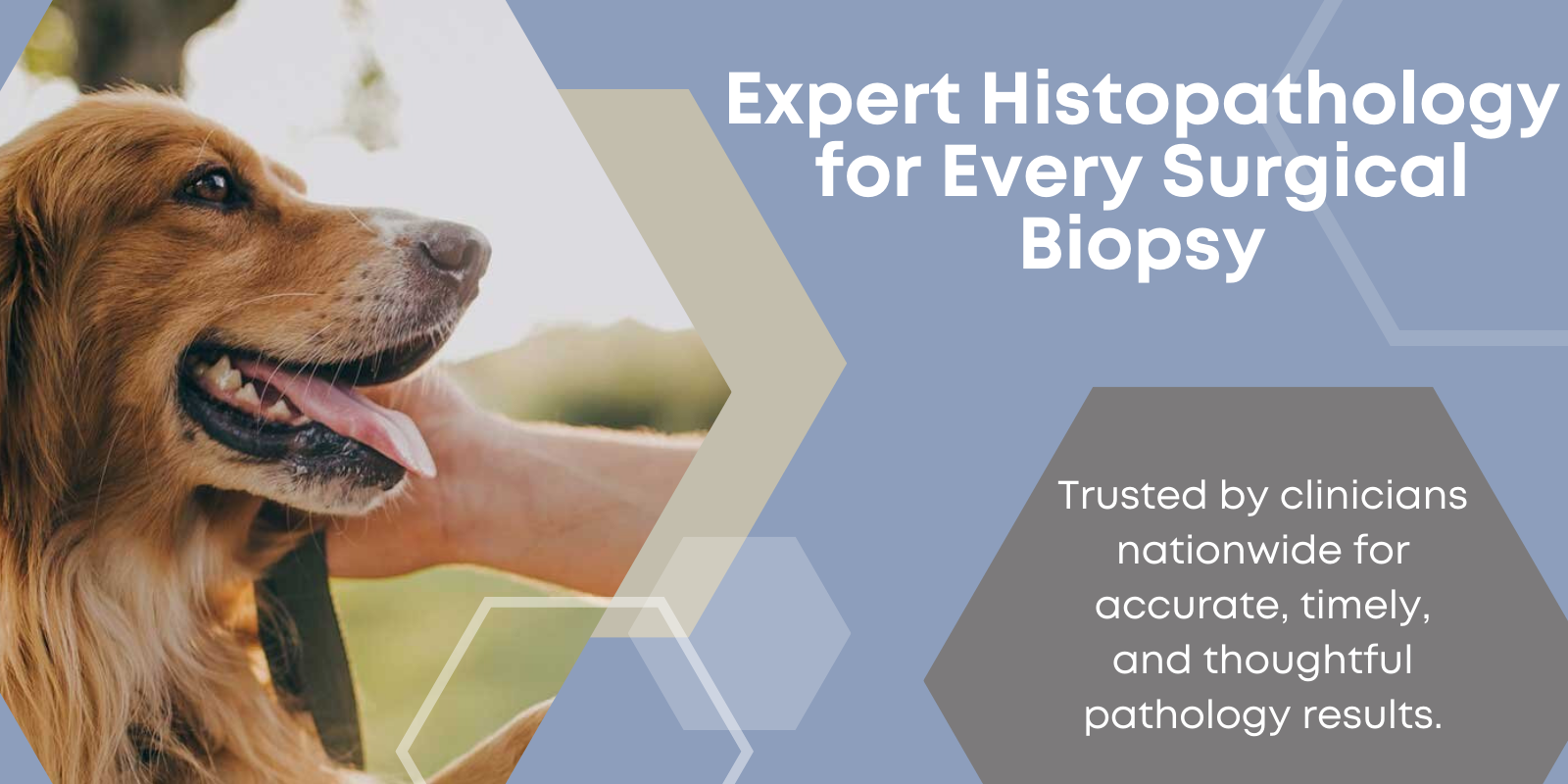 Torigen Specialty Pathology