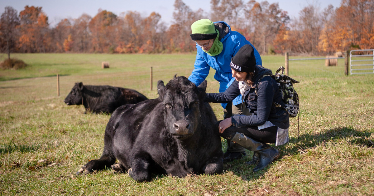 PEAK Animal Sanctuary
