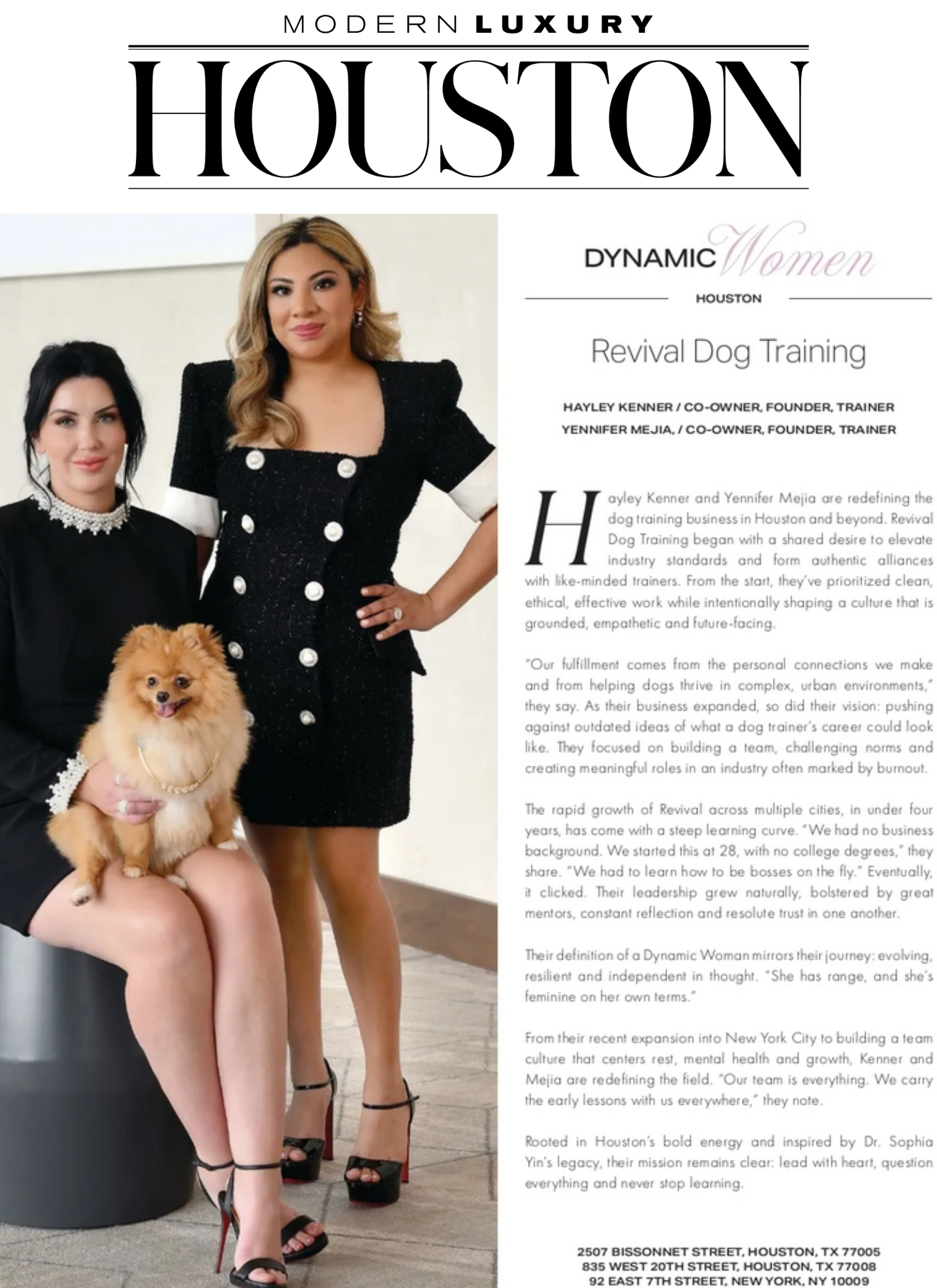 Revival Dog Training – Positive Reinforcement Dog Training in NYC & Houston