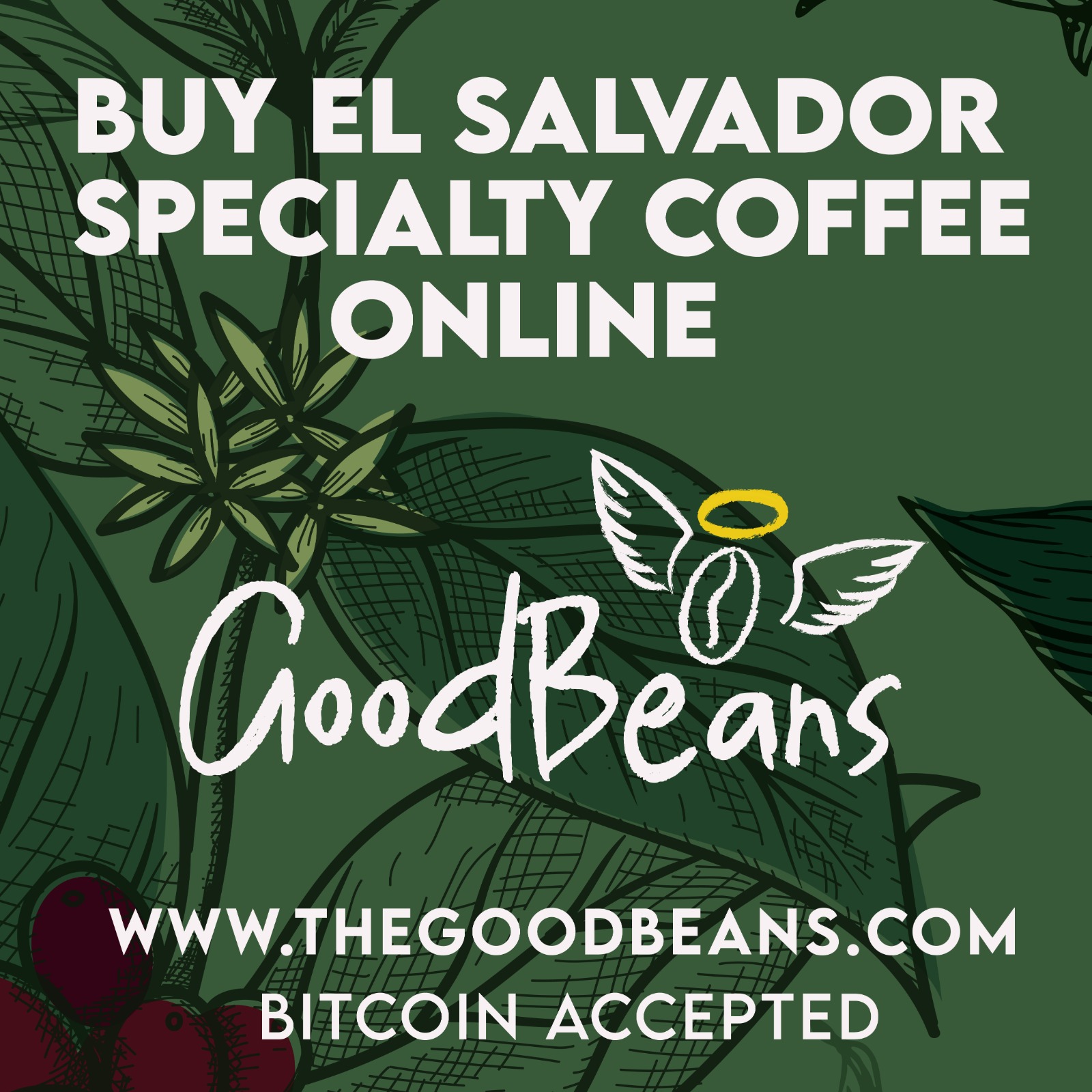 El Salvador Real Estate - HomeFinder