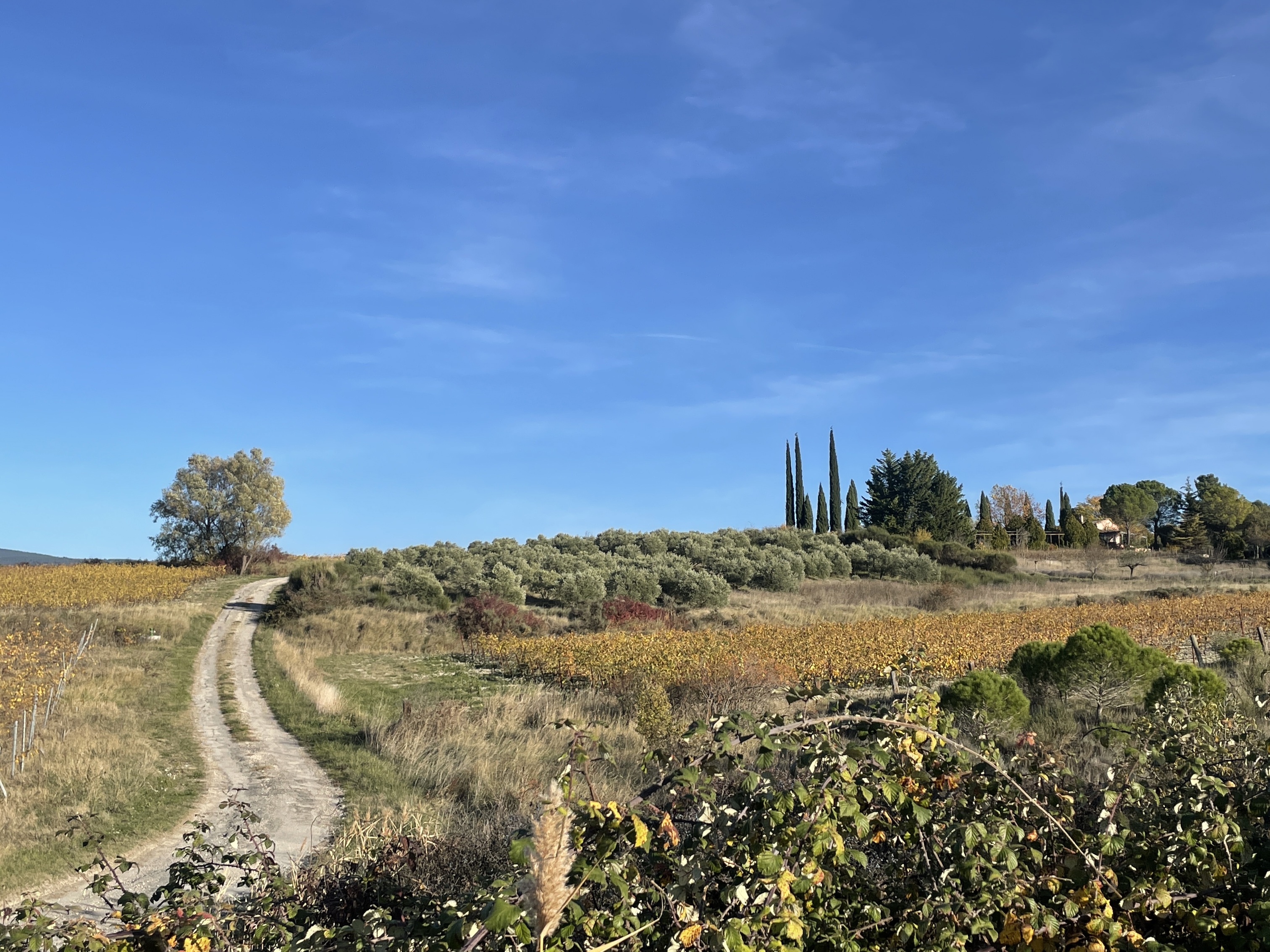 La Limonette - Mont Ventoux