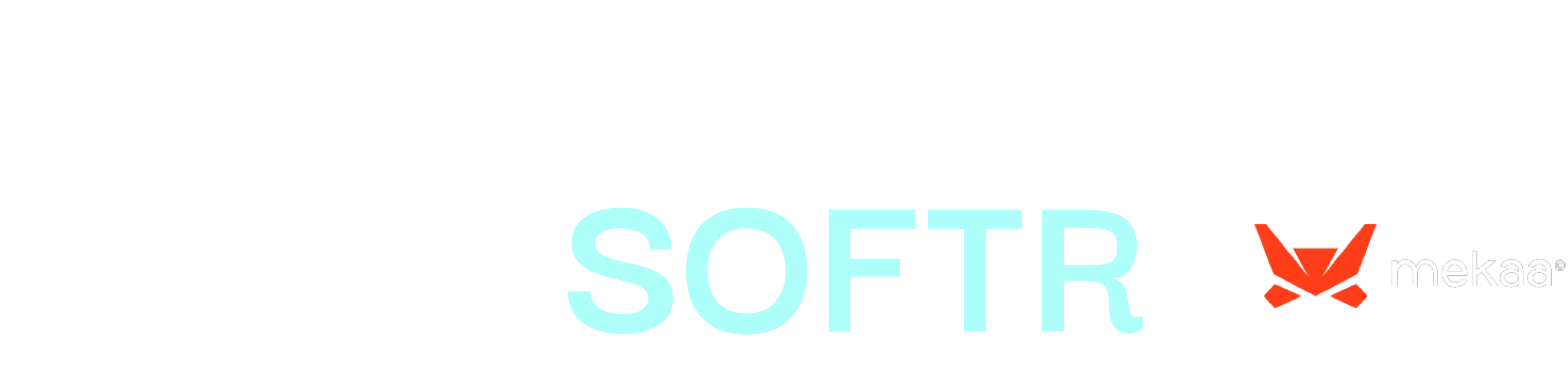 Unlock Softr by Mekaa - Ressources & Library for Softr.io