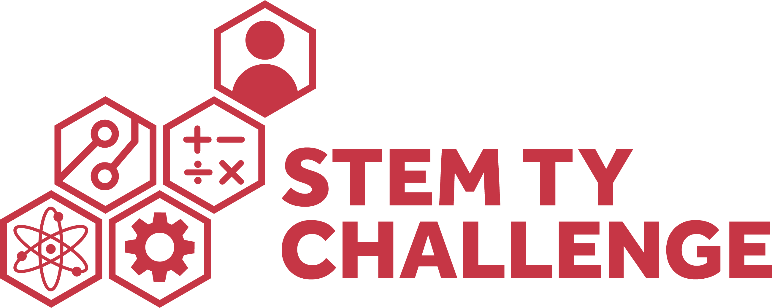 STEM TY Challenge Mentor resources