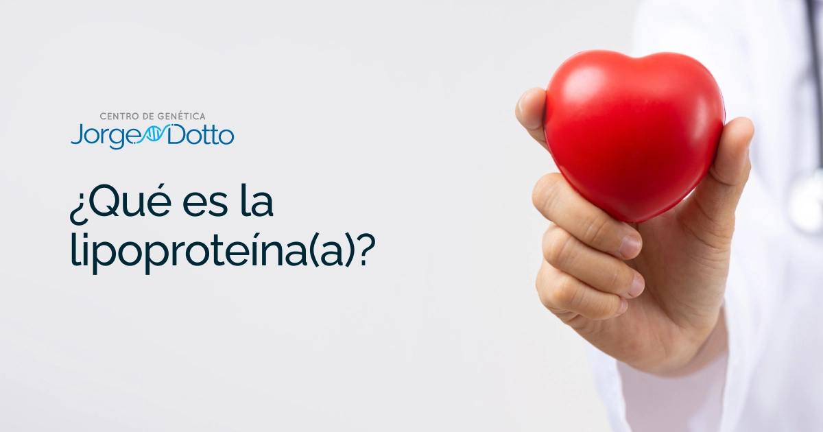 ¿Qué es la lipoproteína(a)?