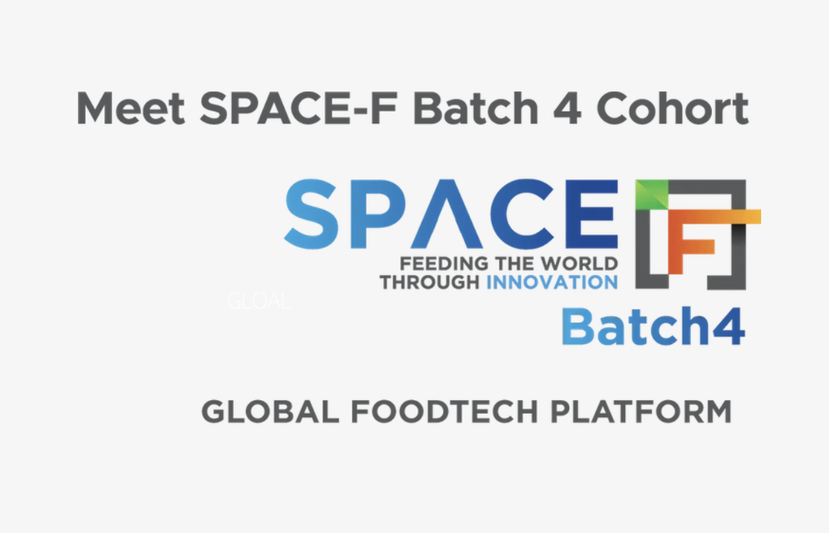 Plant Origin Food: Plant-Based Egg