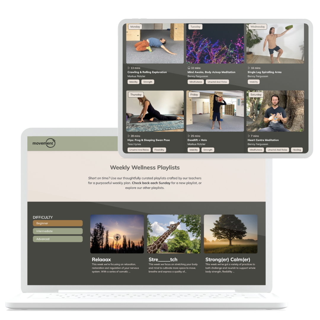 Movement Plus: Mindful Fitness & Healing for Self Transformation