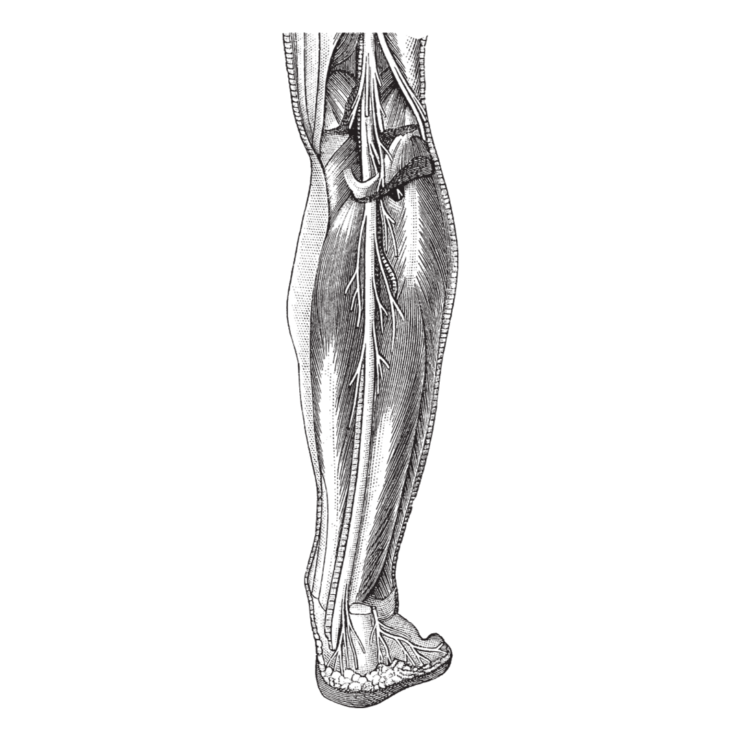 Movement Plus: Mindful Fitness & Healing for Self Transformation